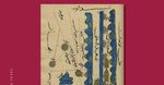 The Rise of a Capital : Al-Fusṭāṭ and Its Hinterland, 18/639-132/750 by ...